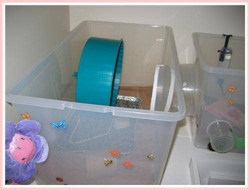 Housing a Pet Hedgehog: Best Cages, Tanks, and Enclosures - PetHelpful