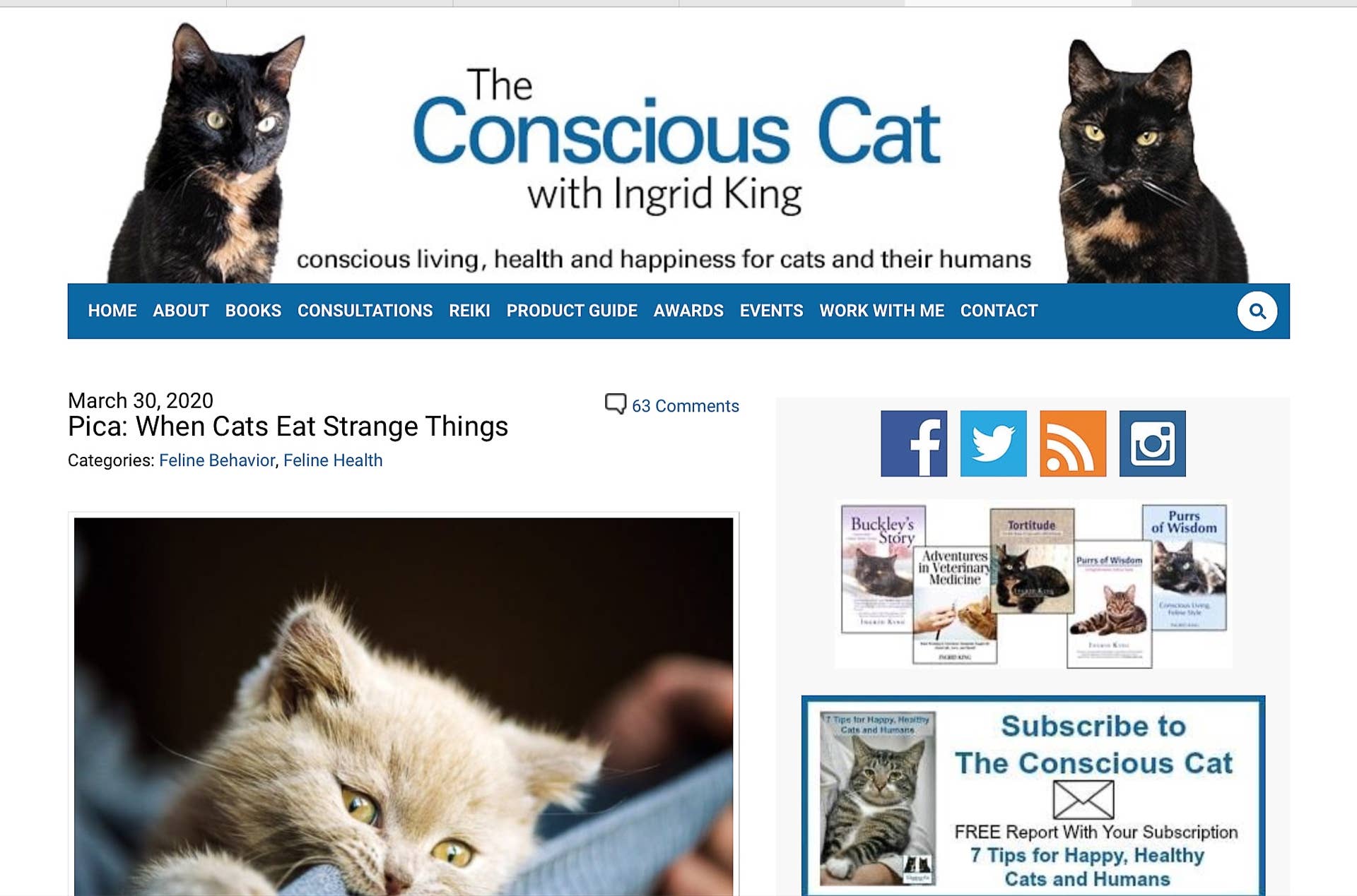 Great Websites for Cat Lovers: Reviews, Facts, and Photos - PetHelpful