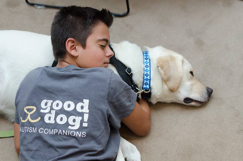 Worst and Best Dog Breeds for a Child on the Autism Spectrum - PetHelpful