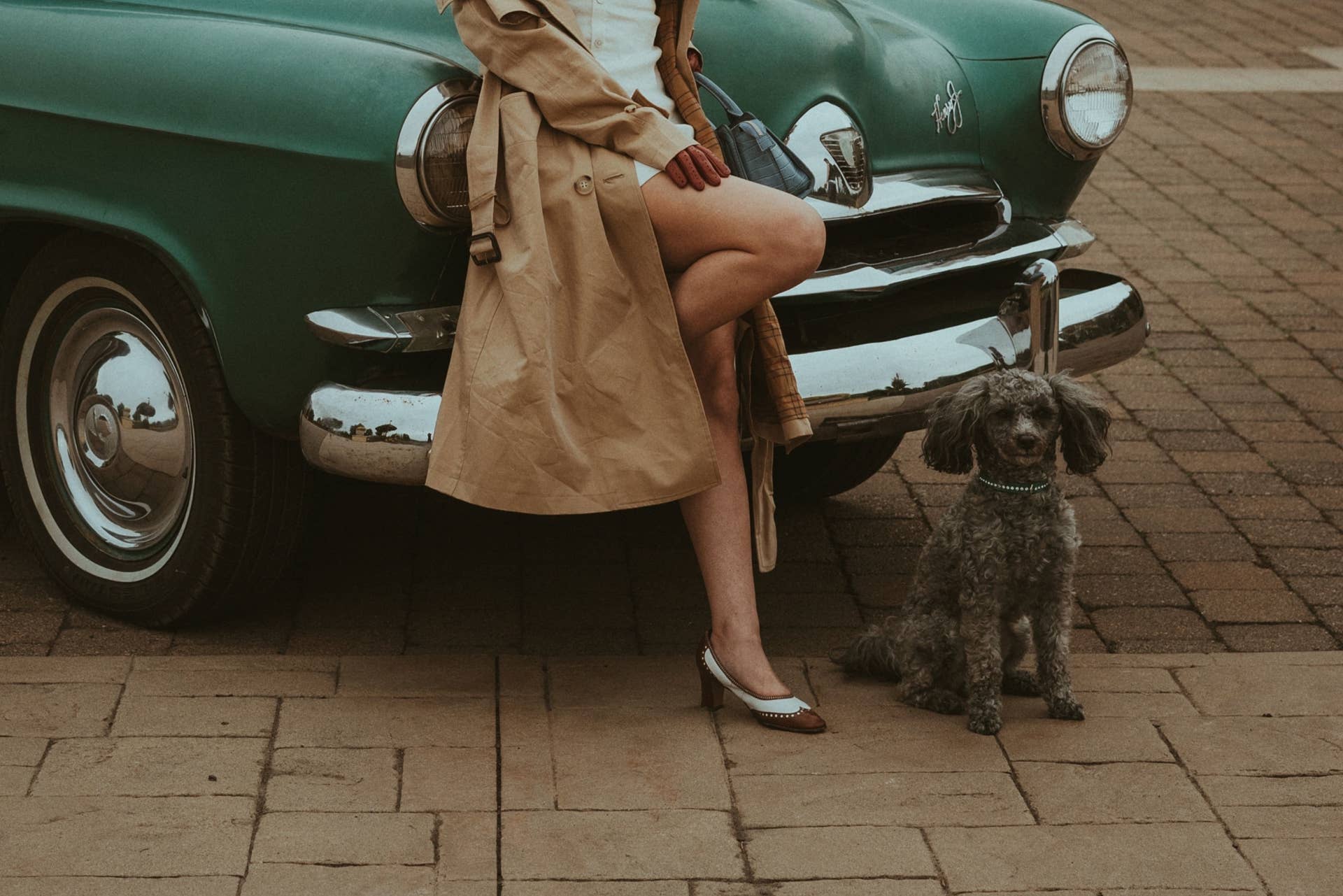 50+ Celebrity Dog Names - PetHelpful
