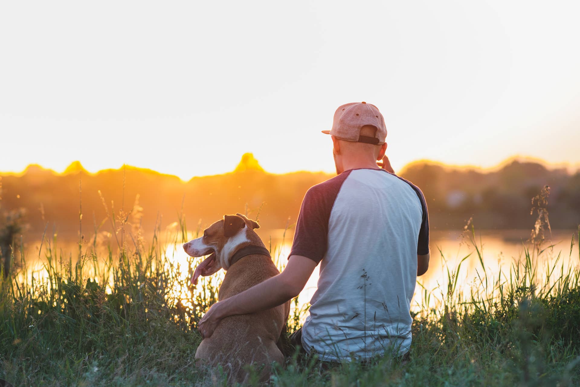This Heartfelt Video About Seeing Your Dog Again Someday Has the ...