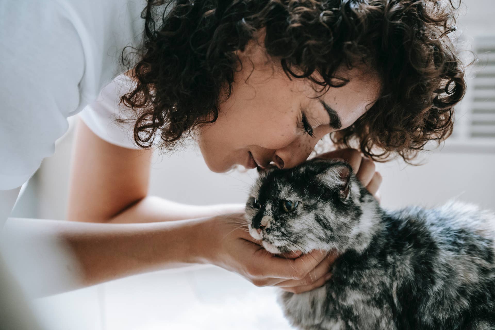 20 Cute Girl Cat Names + Meanings - PetHelpful
