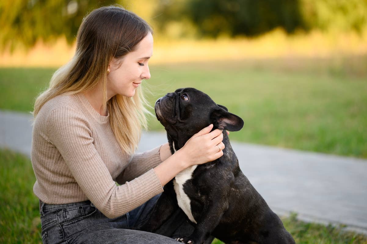 Survey Finds Many Pet Parents Have Lied to a Boss for Their Pet ...