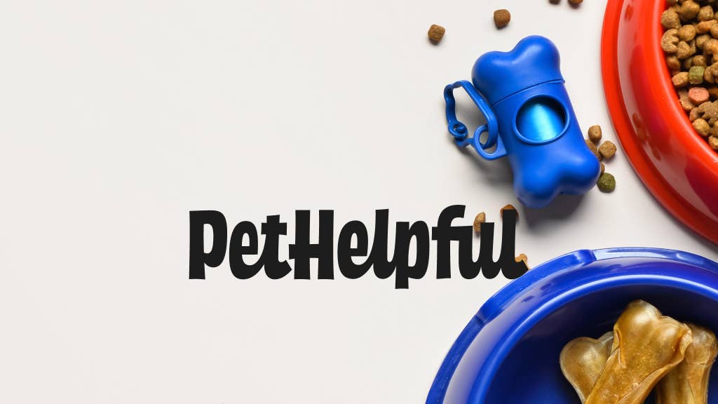 Pet News: Animal Stories, Viral Moments & Expert Updates - PetHelpful