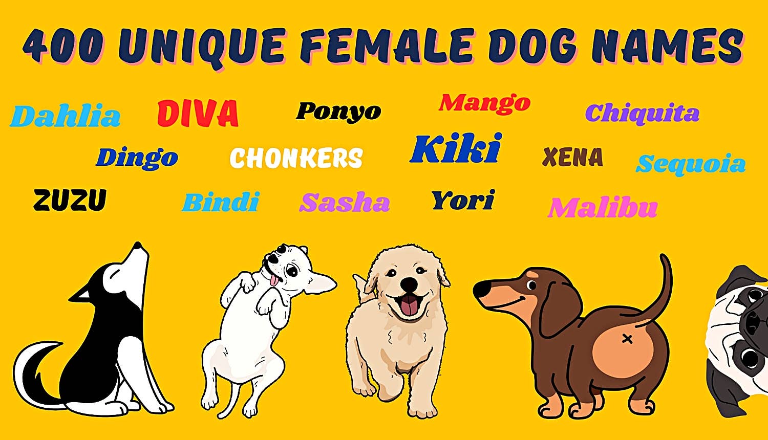 400 Unique Female Dog Names for Your Girl Pup - PetHelpful