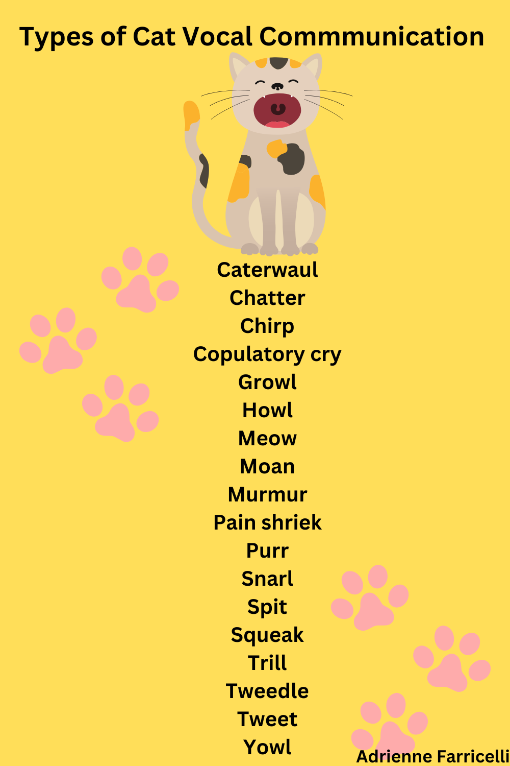 Why Is My Cat Meowing So Much? 10 Potential Reasons - PetHelpful