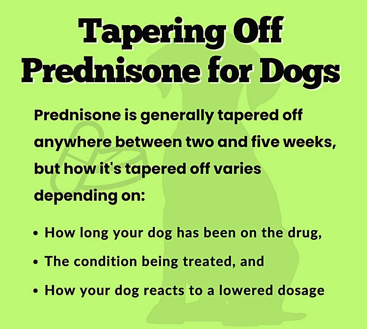 The Importance of Gradually Weaning Dogs Off Prednisone - PetHelpful