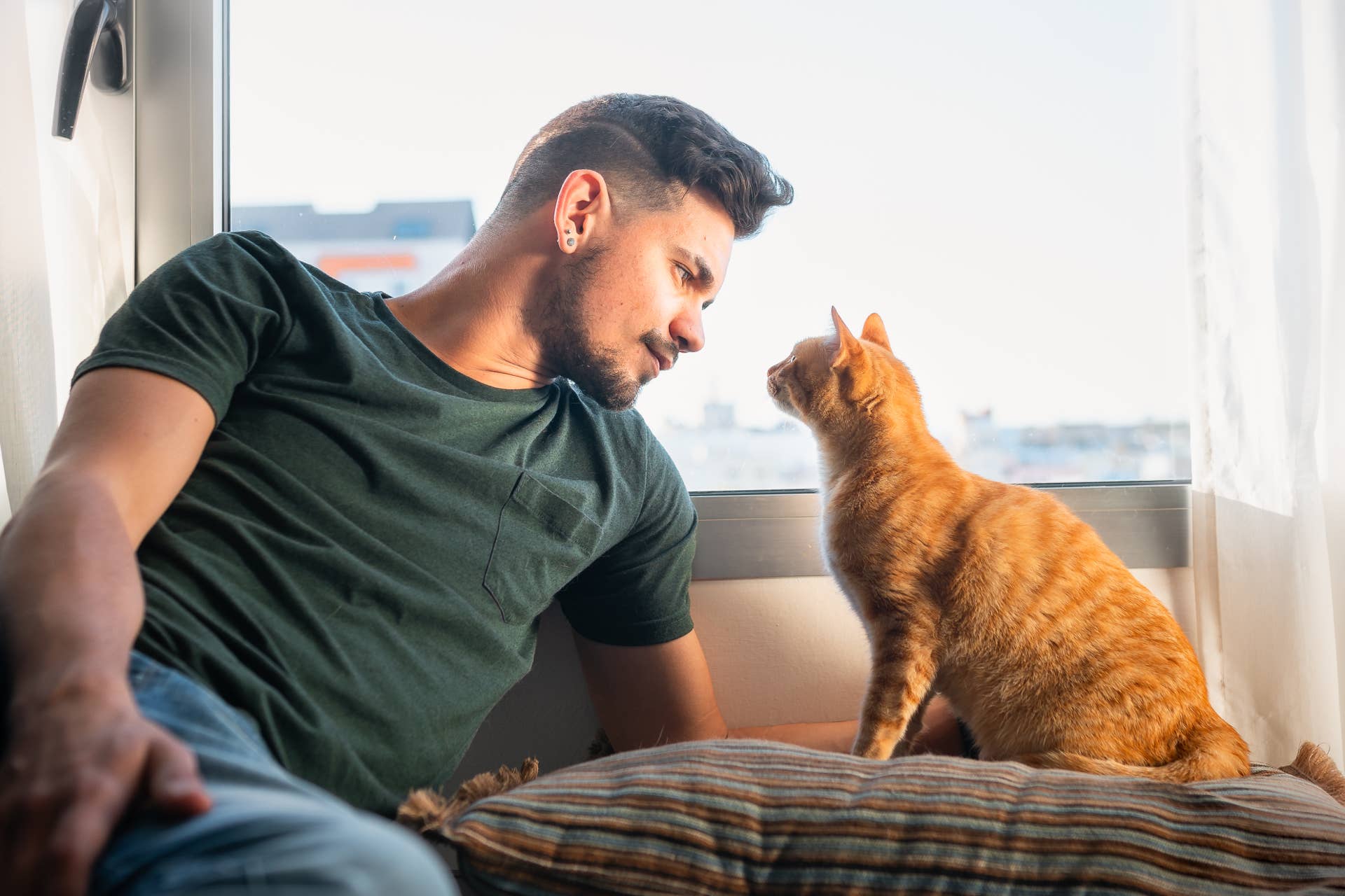 Cat’s Stairway Serenade Proves Felines Love Humans - PetHelpful