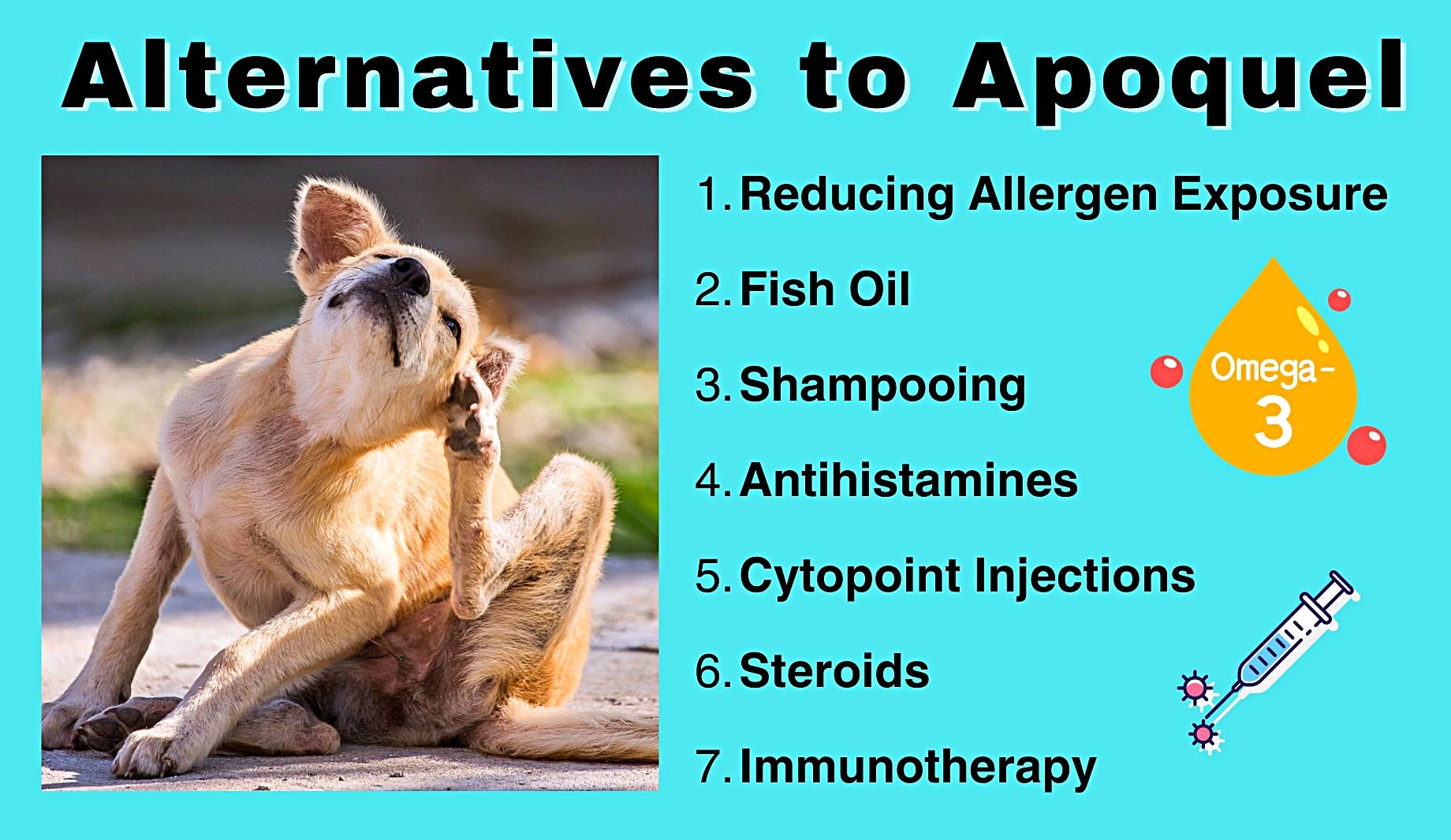 Cheaper Alternative To Apoquel