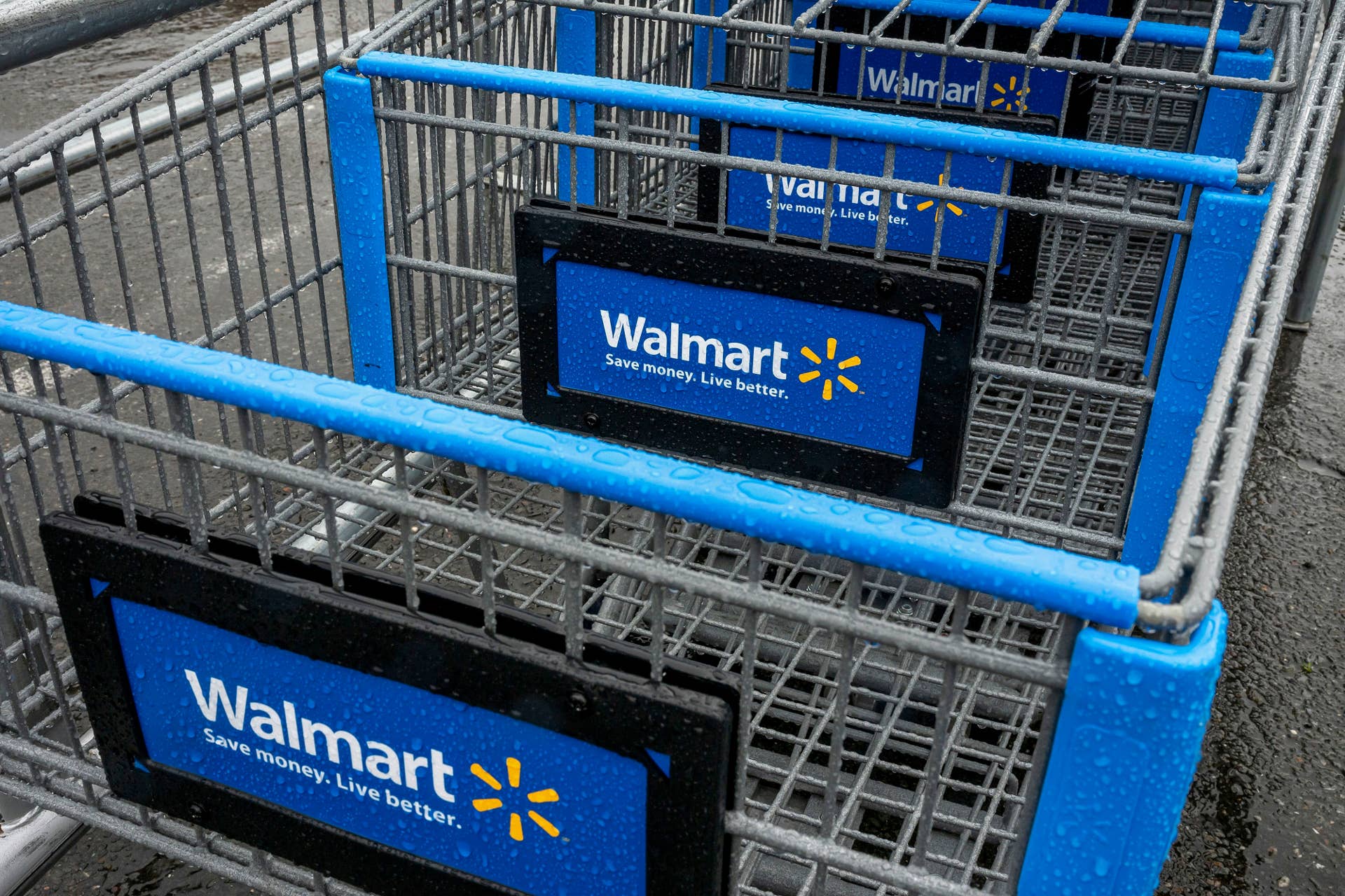 Walmart’s Amolife Cat Tree and Tower Condo Is a Must-Have - PetHelpful