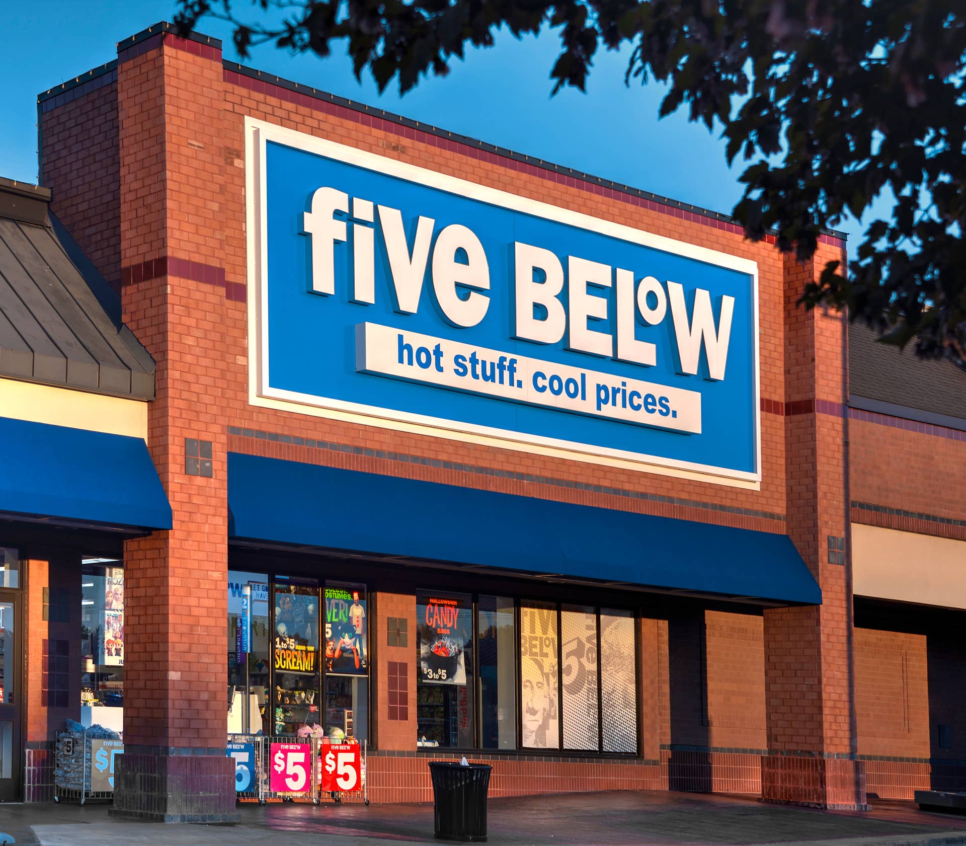 Five Below's $5 Litter Box Is a Chic Upgrade for Homes With Cats ...