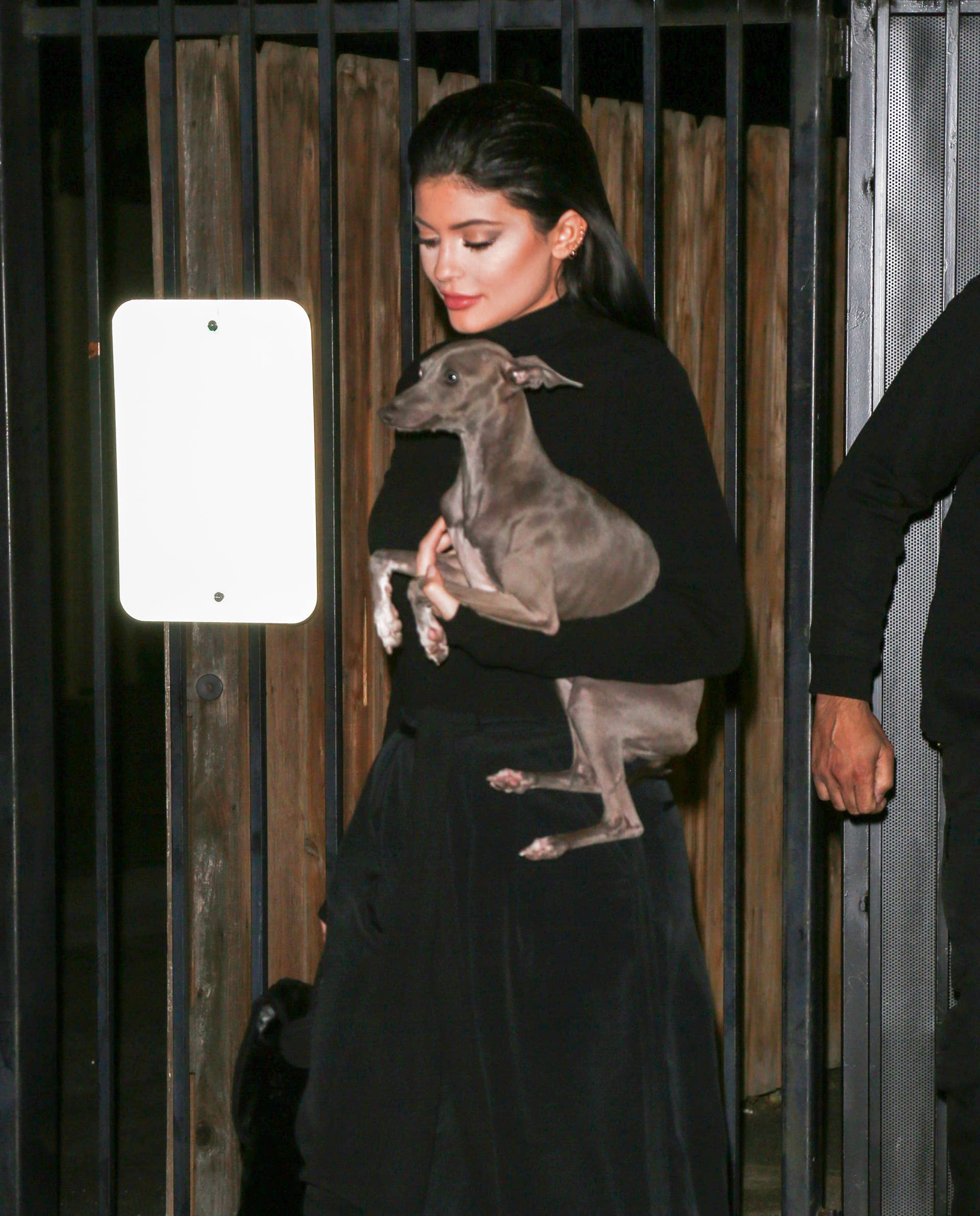 Kylie Jenner Mourns Loss of a Beloved Family Member - PetHelpful