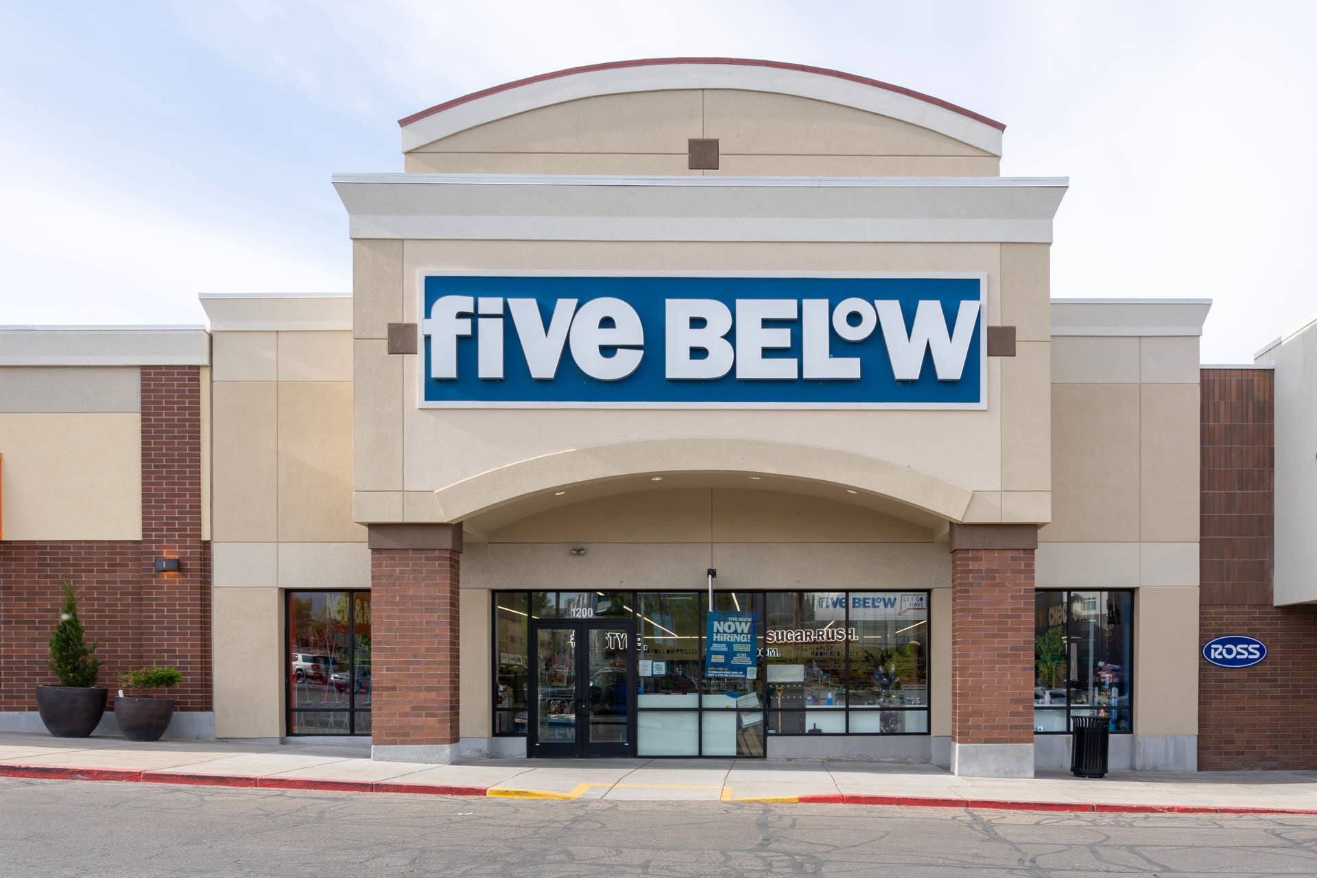 Five Below's Nifty Pet Care Item Is a Game-Changer - PetHelpful
