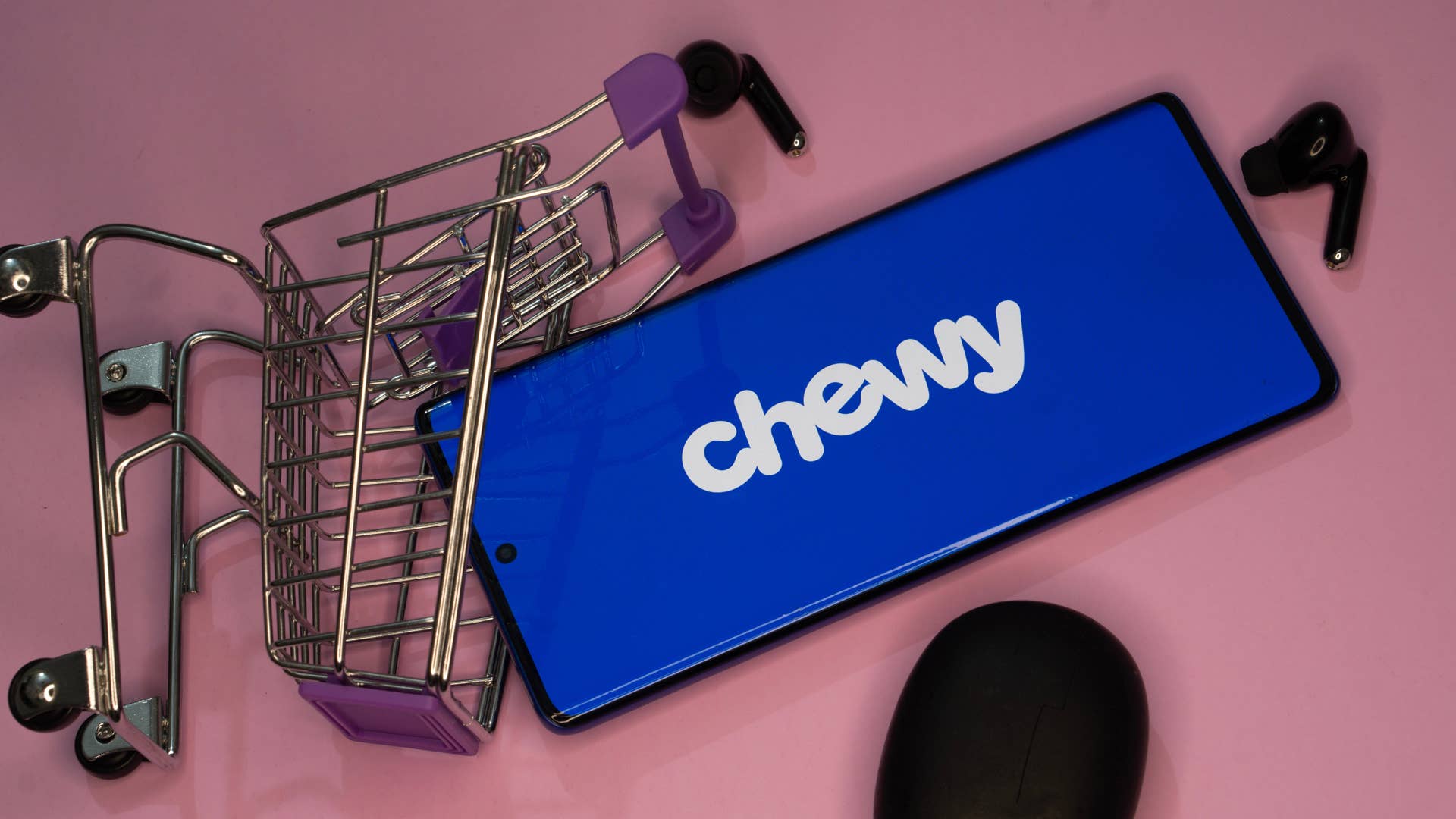 Chewy Is Selling a Foldable Cat Condo That Makes Pets Feel Safe ...