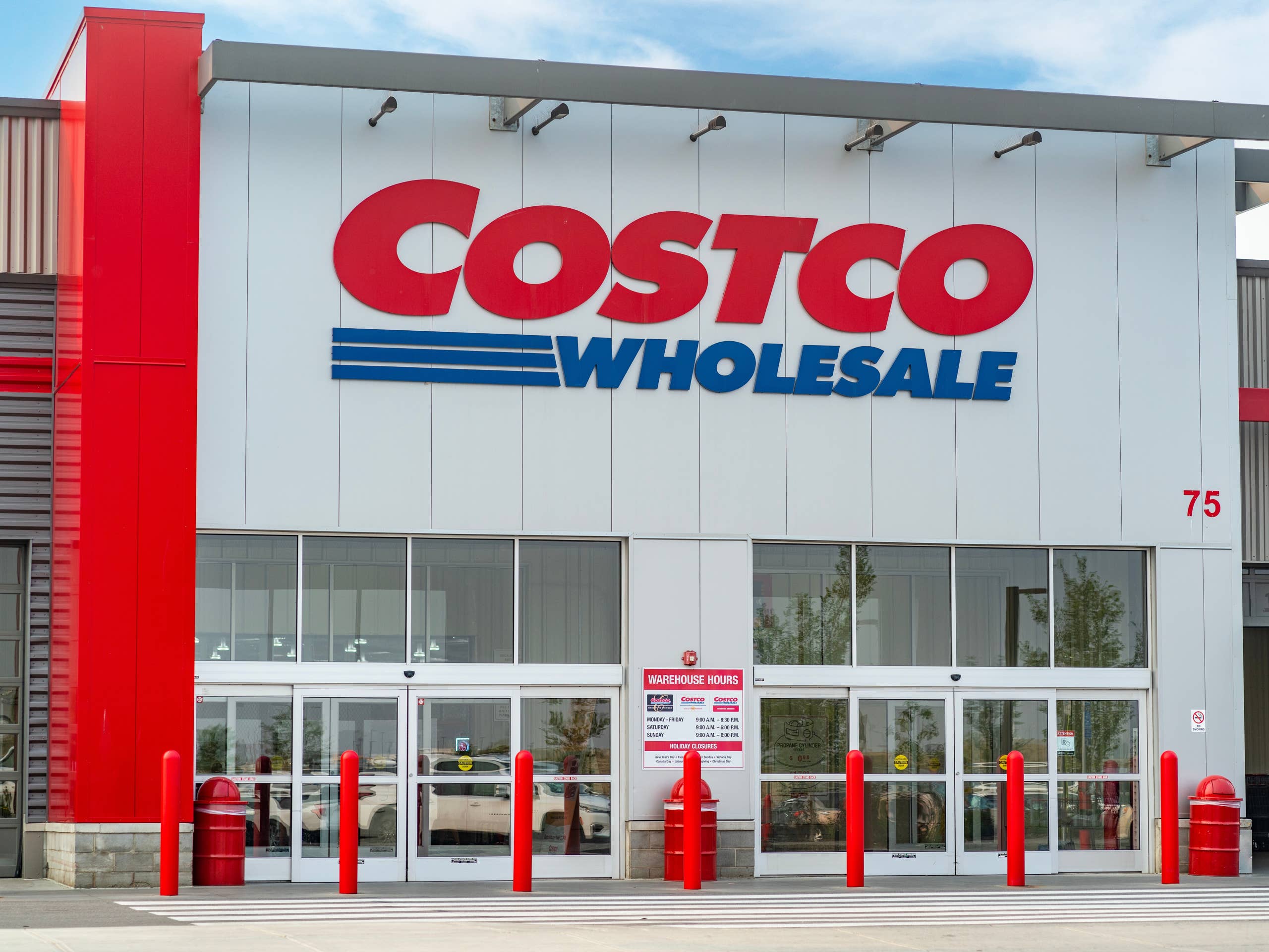 Dog Catcher Inflatable Dog Ramp Is a Costco Summer Essential - PetHelpful
