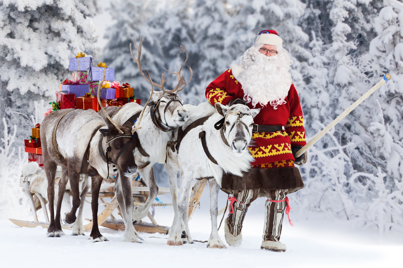 200 Best Reindeer Names of All Time (Cute, Unique & Festive) - PetHelpful