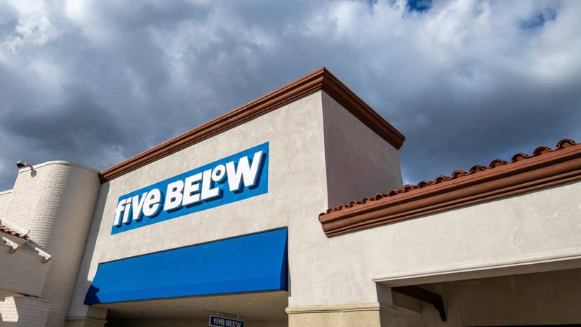 Five Below's New $5 Pet Cuddler Bed Is Perfect for Afternoon Naps ...
