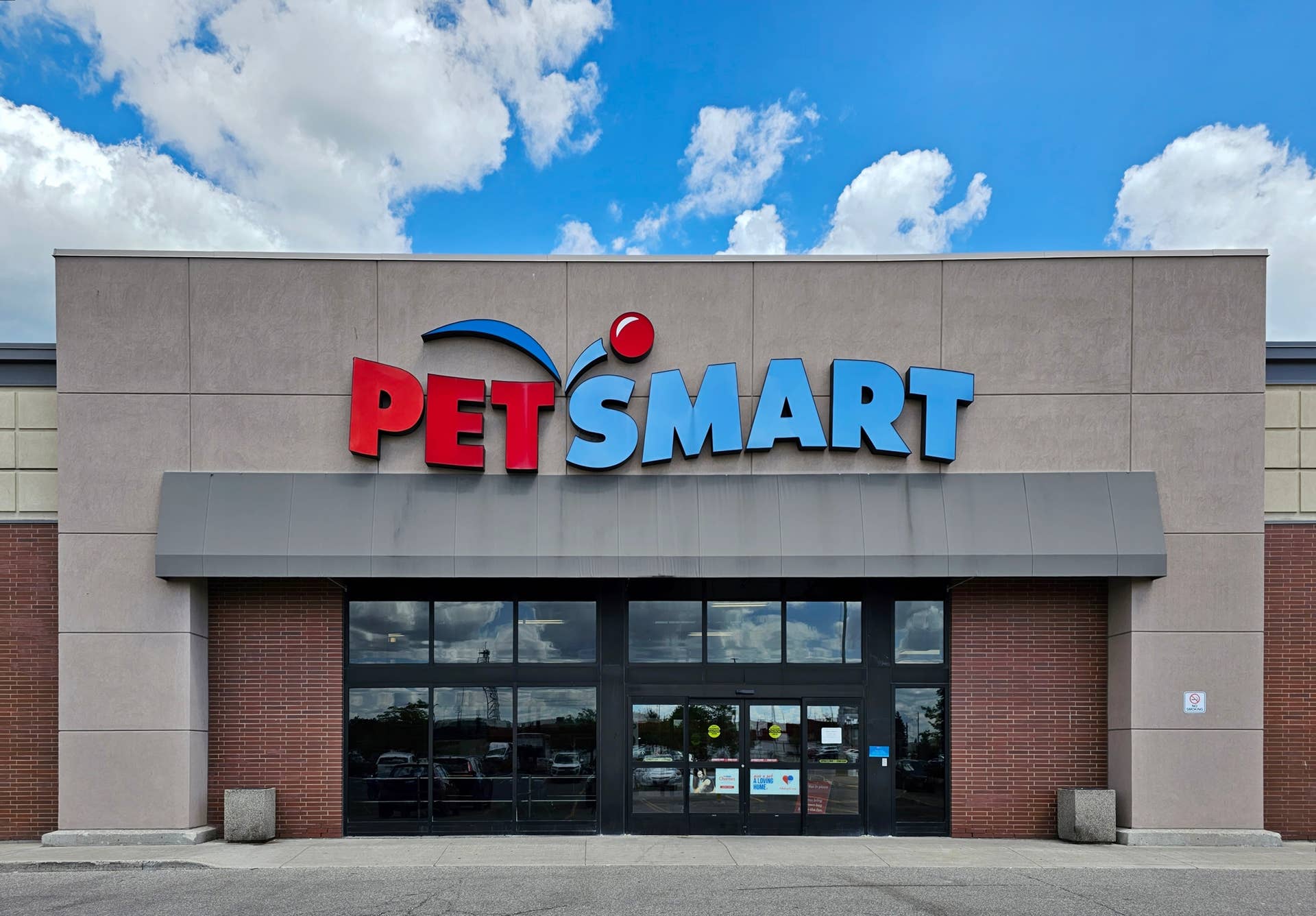 Top Paw Pet Grooming Kit Saves You Money on Pro Grooms - PetHelpful