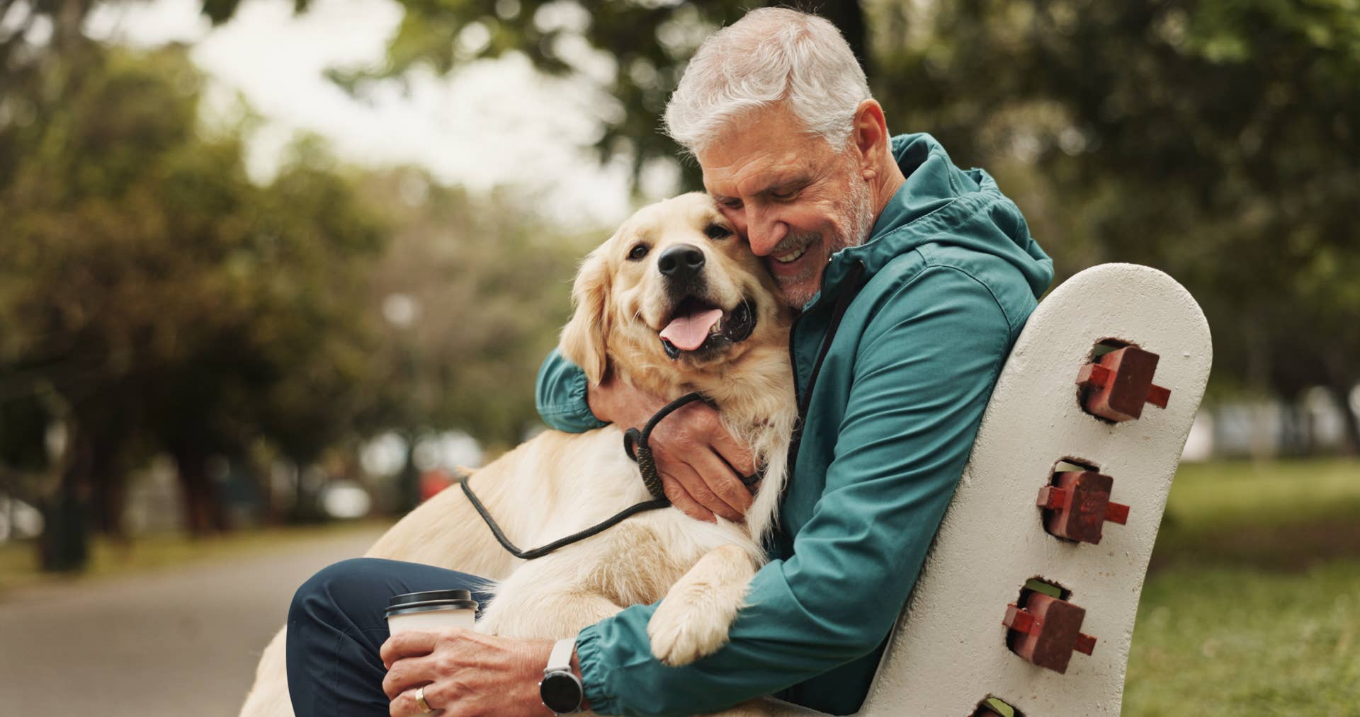 Senior Dog Reunites With Owner After a Month in Emotional TikTok ...