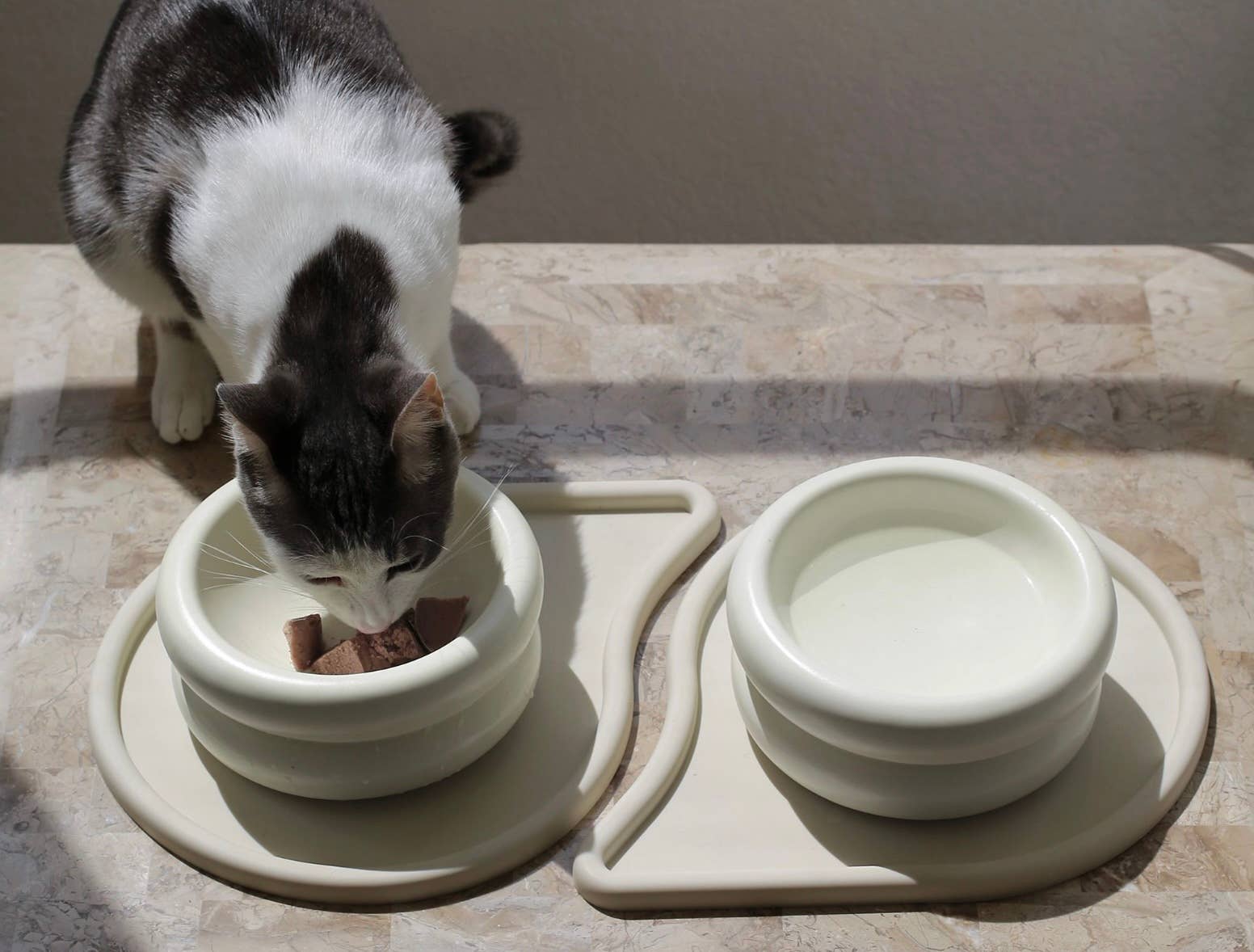 West Elm's Stylish Feeding Mat Is a Favorite With Pet Parents - PetHelpful