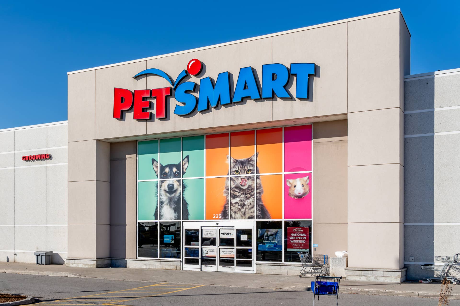 PetSmart Adds More Eco-Friendly Pet Essentials - PetHelpful