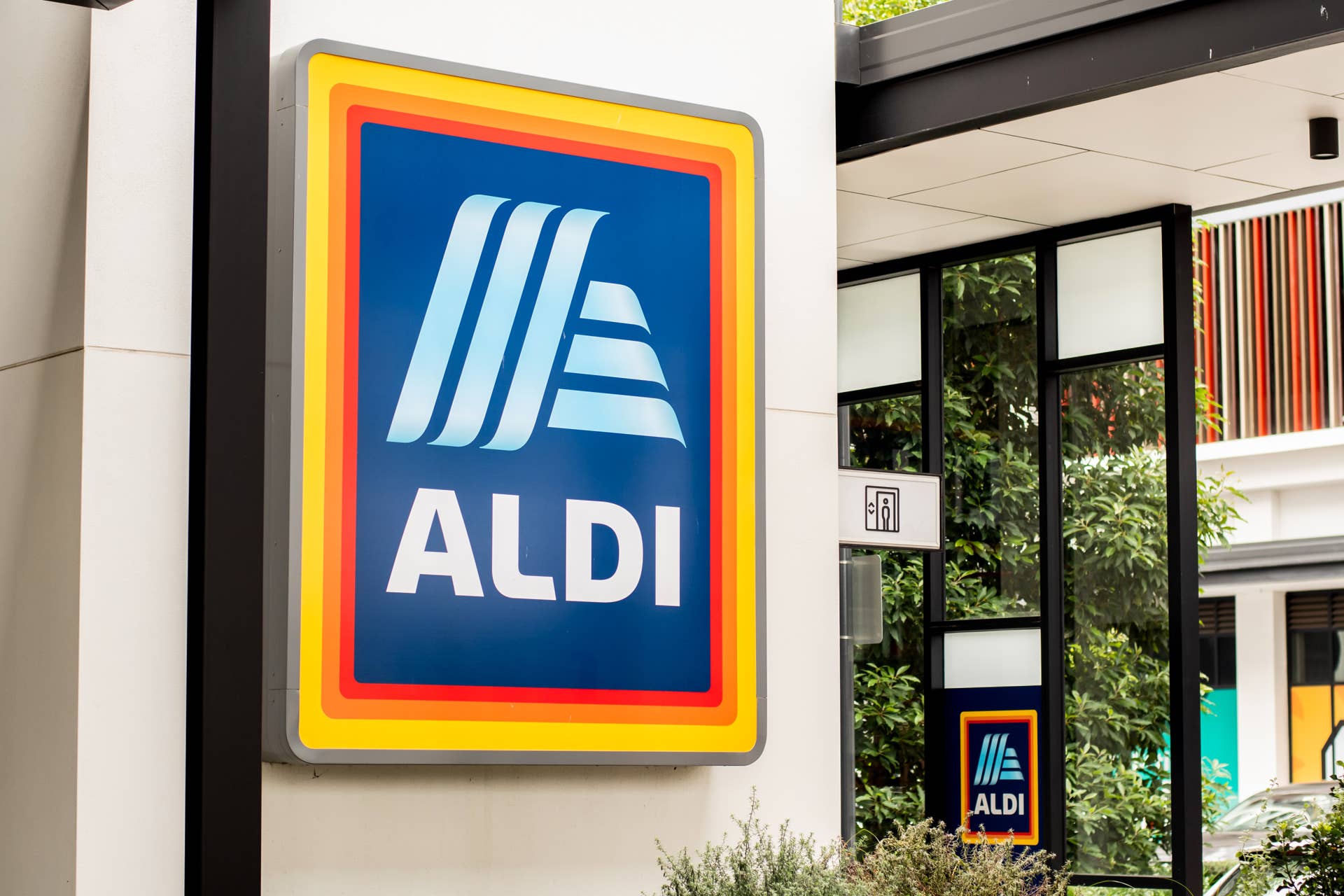 Aldi’s Tiny Storefront Cat Scratcher Is Only $10 - PetHelpful