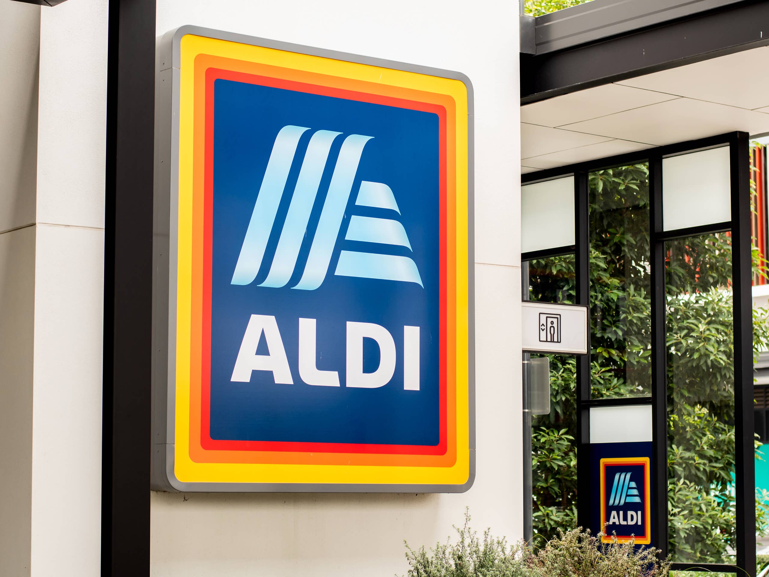 Aldi Has a Simple Tool for Removing Pet Hair - PetHelpful