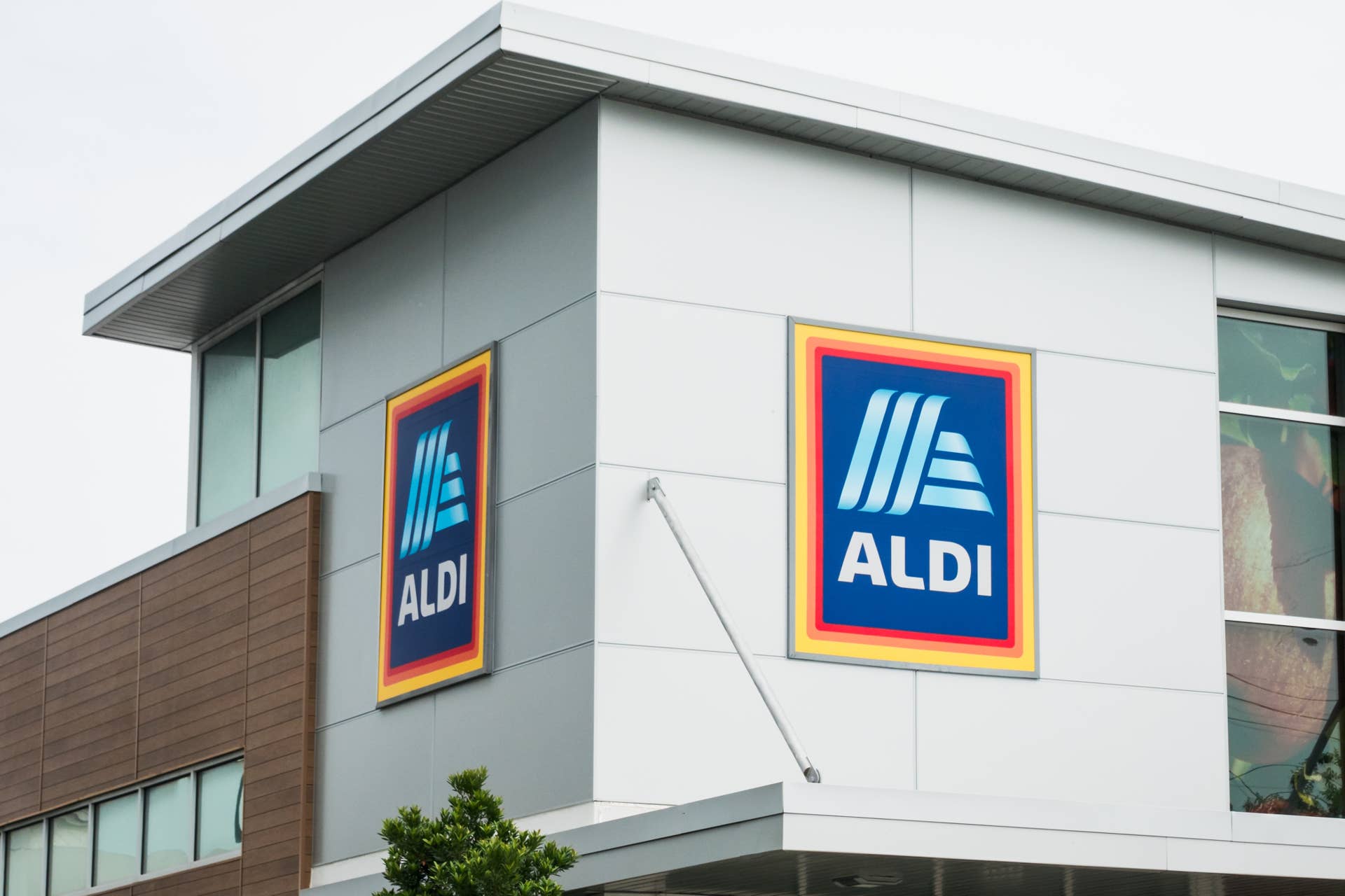 Aldi's Furby Dog Toy Is Serving Major '90s Vibes Nostalgia - PetHelpful