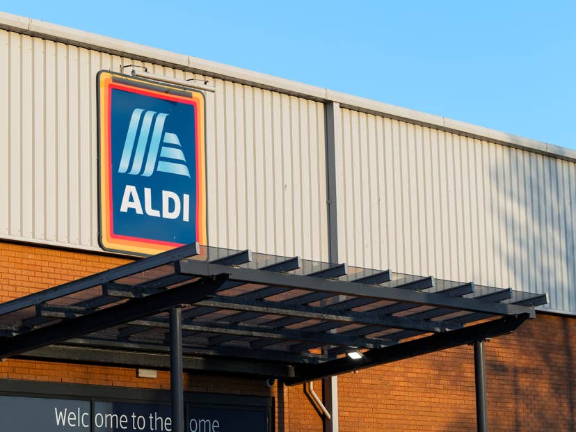Aldi Shoppers Are Obsessed With This Retro Floral Pet Harness - PetHelpful