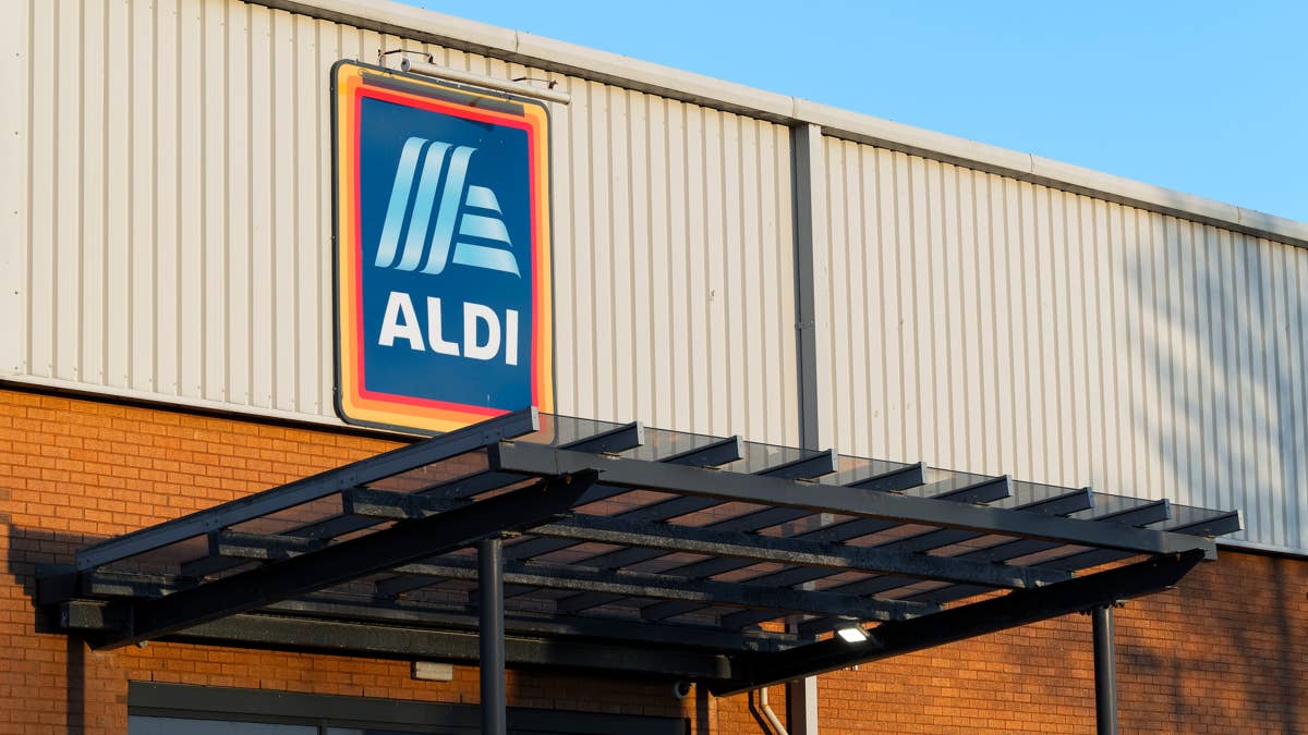 Aldi's New Retro-Style Sneakers Make Dog Walks a Runway Show - PetHelpful