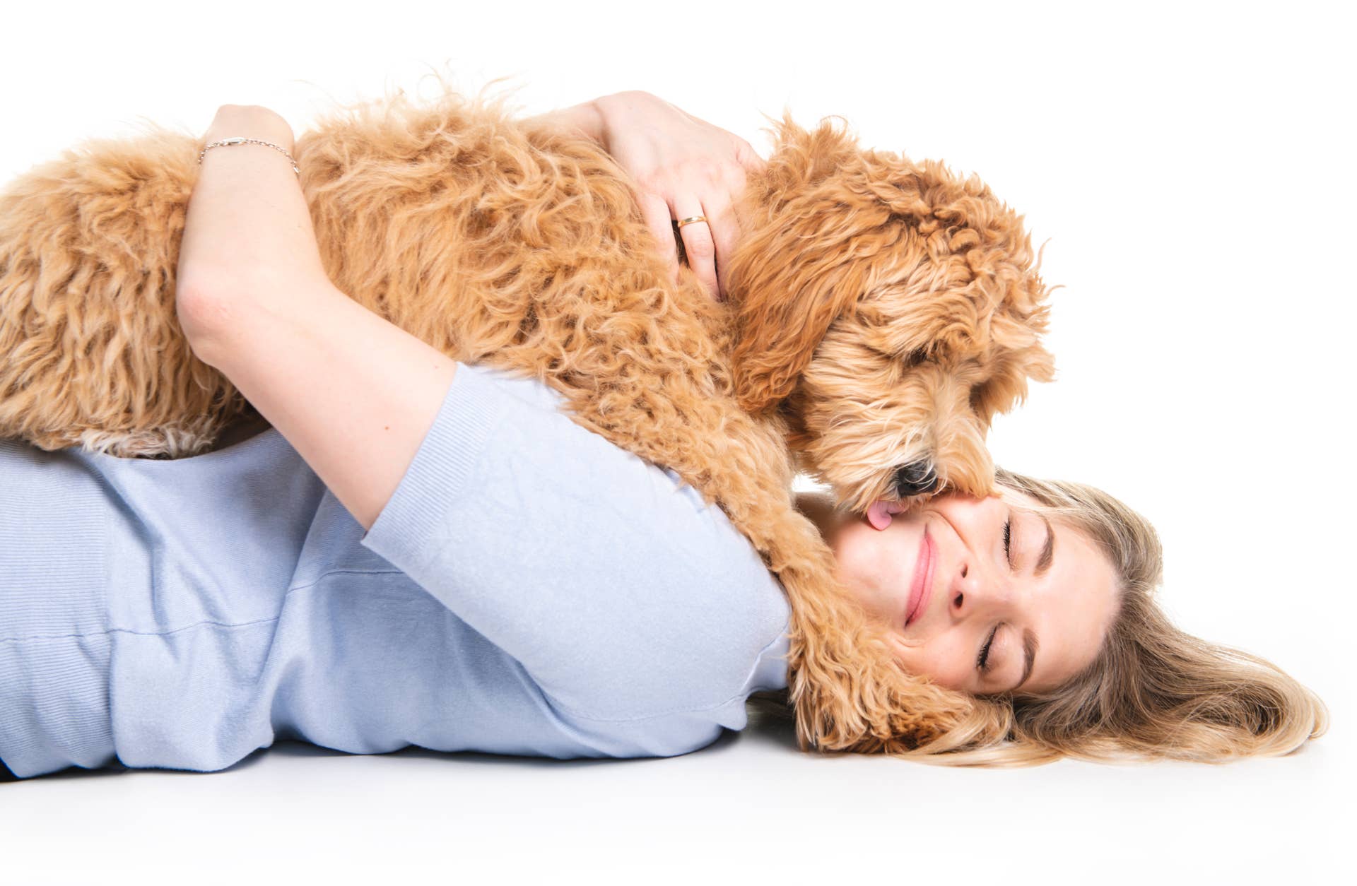Precious Goldendoodle Climbs Into Mom’s Lap for the Coziest Cuddle Ever ...