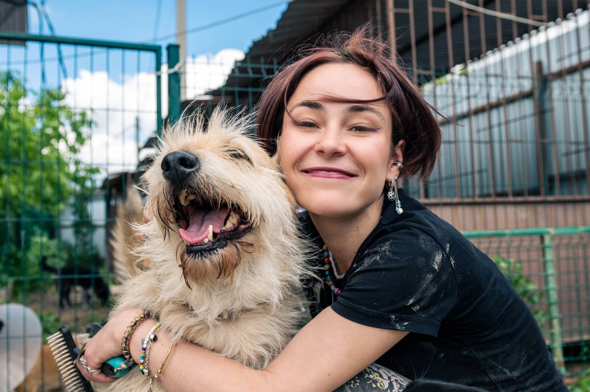 Meet Adoptable Pets at PetSmart National Adoption Week - PetHelpful