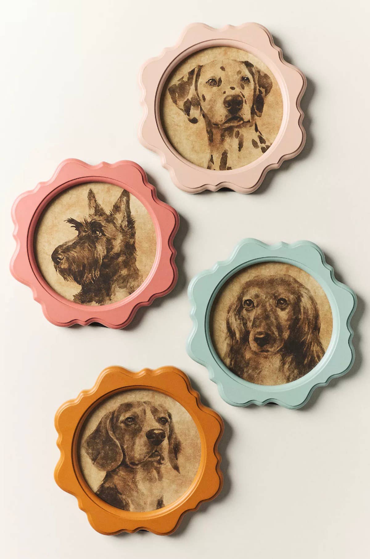 Anthropologie's Pastel Dog Frames Are Perfect Spring Decor - PetHelpful