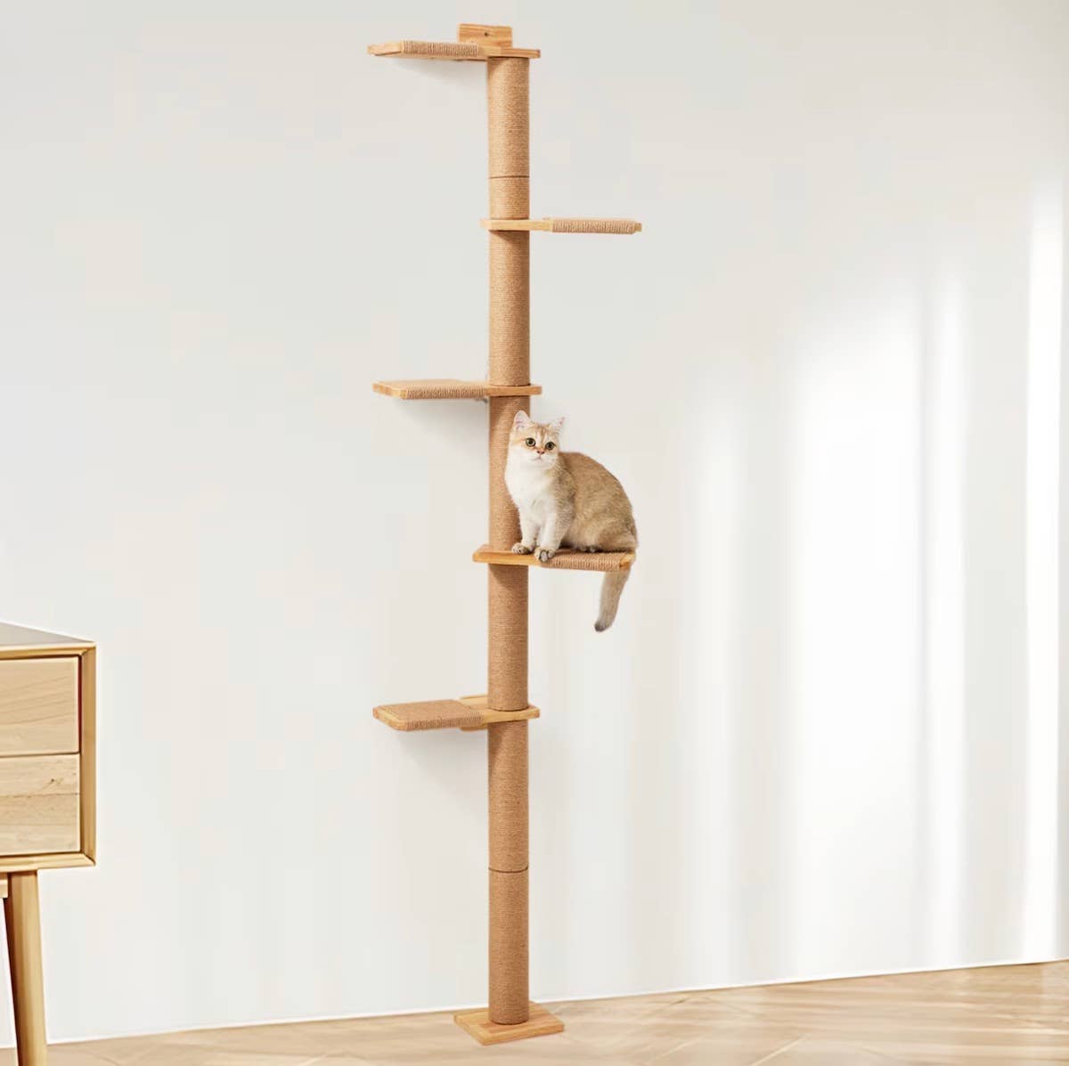 Chewy's Rope Cat Tree Is a Modern Cat Parent's Dream - PetHelpful