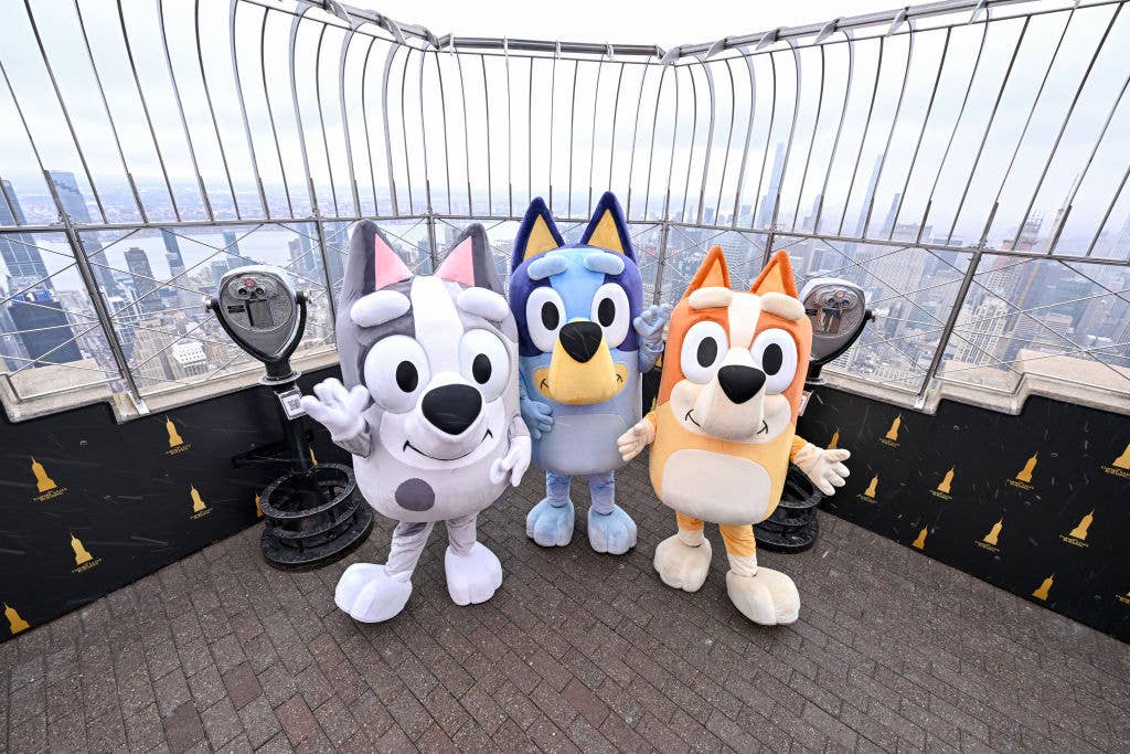 What Breed Is Bluey? Real-Life Dog Breed Explained by a Vet - PetHelpful