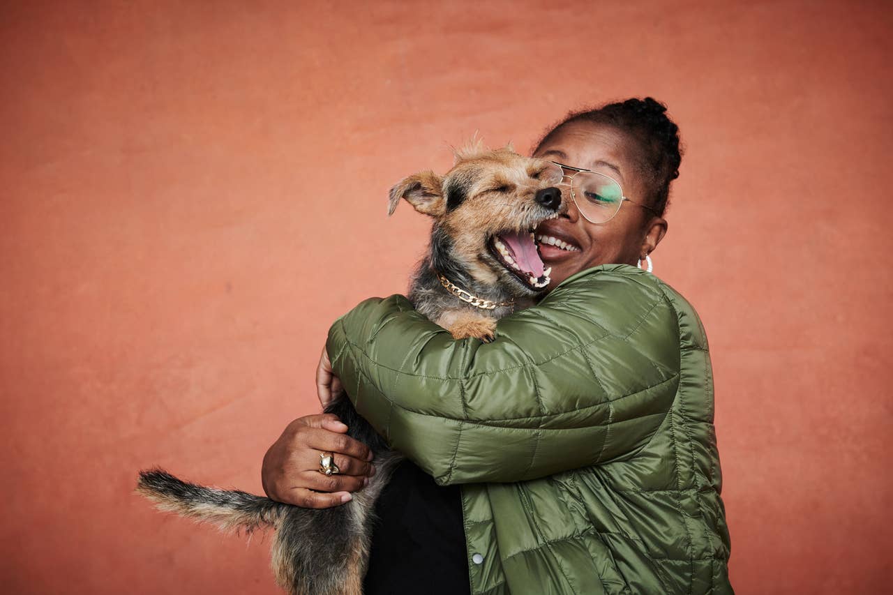 What Breed Is Bluey? Real-Life Dog Breed Explained by a Vet - PetHelpful