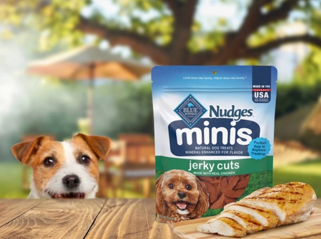Blue Buffalo’s New Mini Dog Treats Are a Perfect Summer Snack - PetHelpful
