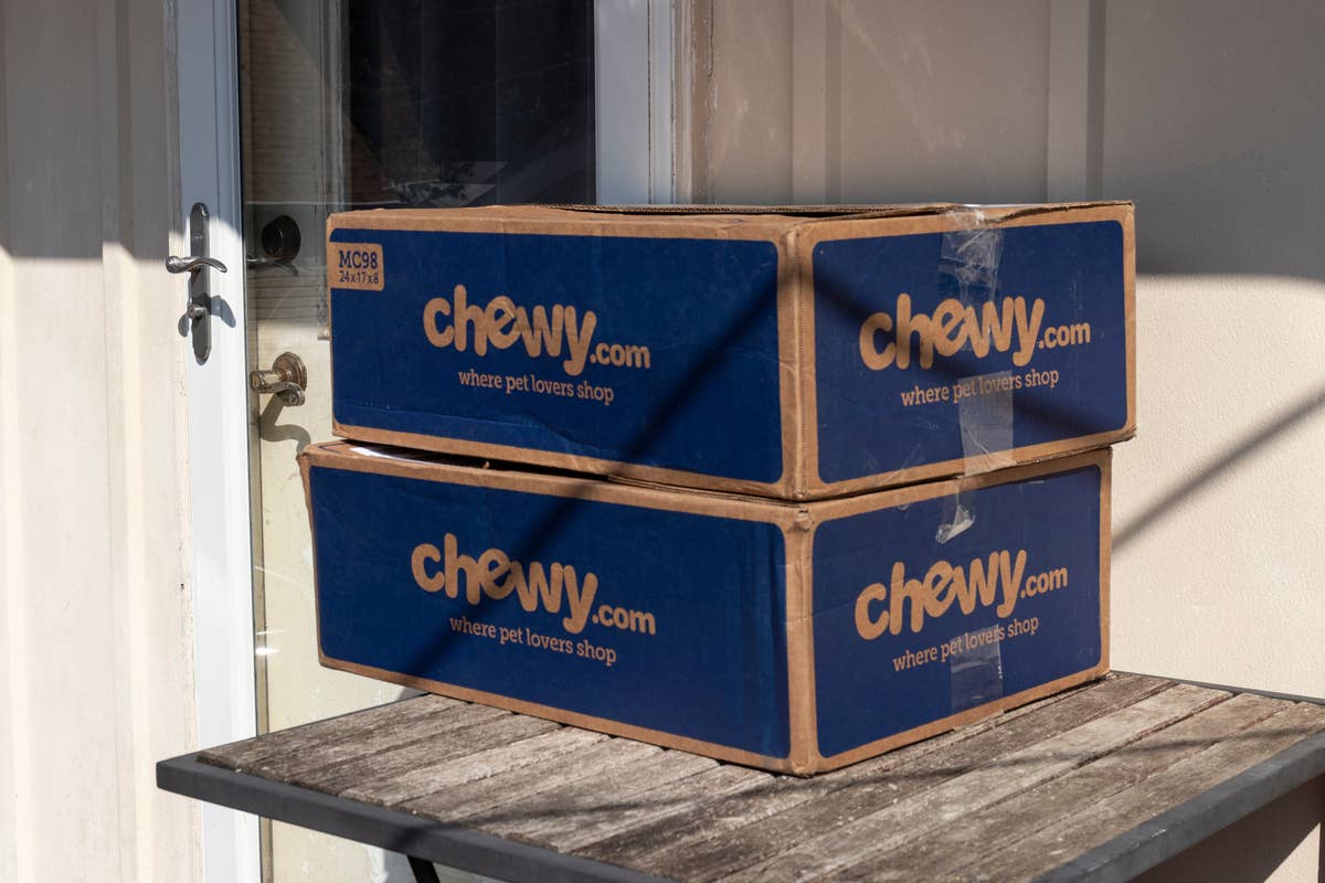 Chewy’s Stylish Outdoor Dog Bed Looks Like a Chic Beach Cabana - PetHelpful