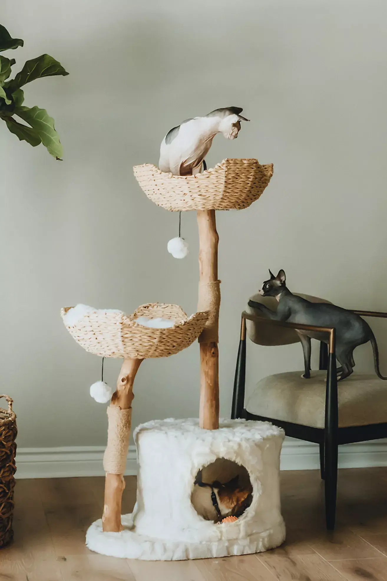 Anthropologie’s Stunning Wooden Cat Tree Is in a League of Its Own ...