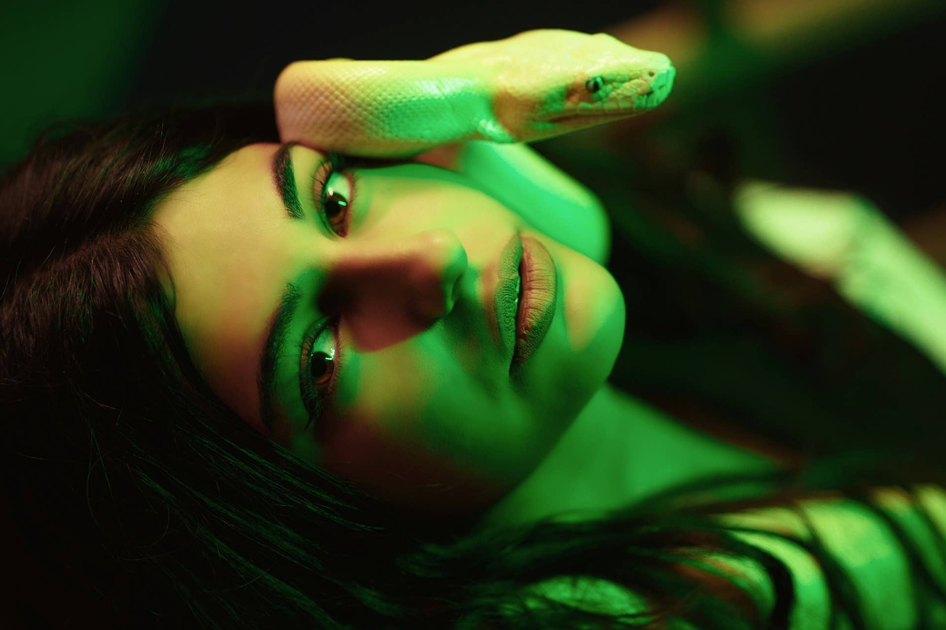 Gen Z Is Driving Rapid Growth in Reptile Ownership - PetHelpful