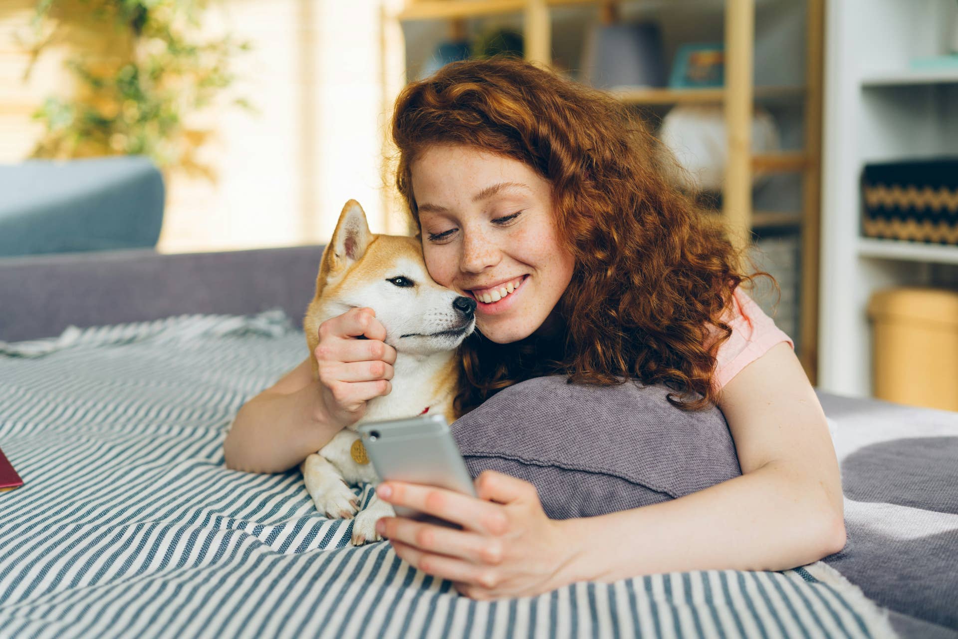 Why Some Vets Say Pet Parents Shouldn't FaceTime Their Dogs - PetHelpful