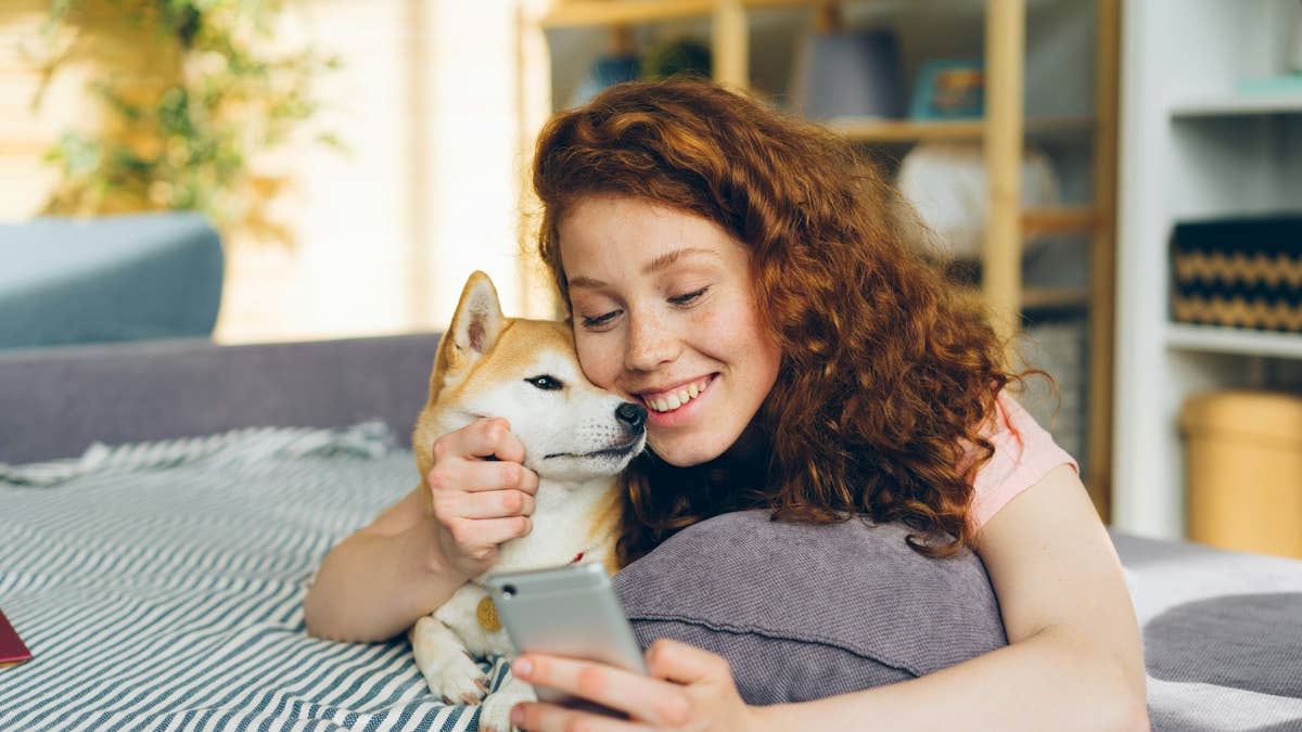 Why Some Vets Say Pet Parents Shouldn't FaceTime Their Dogs - PetHelpful
