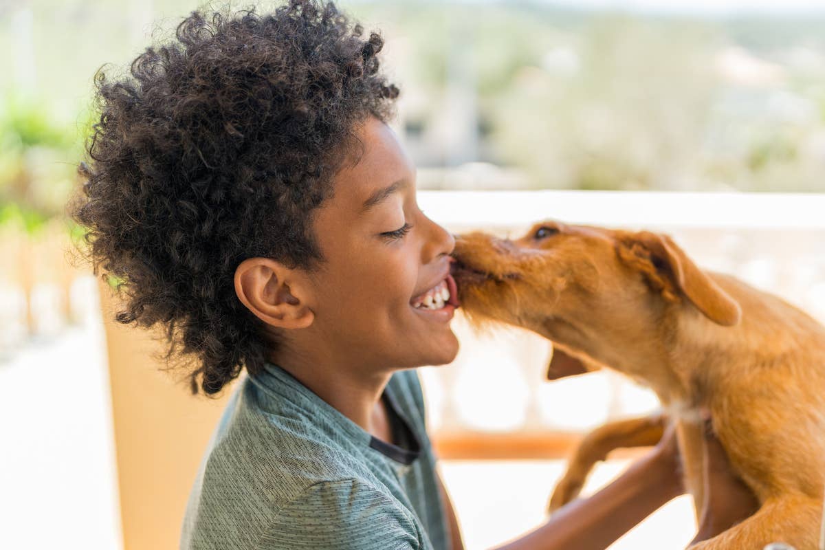How to Apologize to Your Dog So They Actually Understand You (Trainers ...
