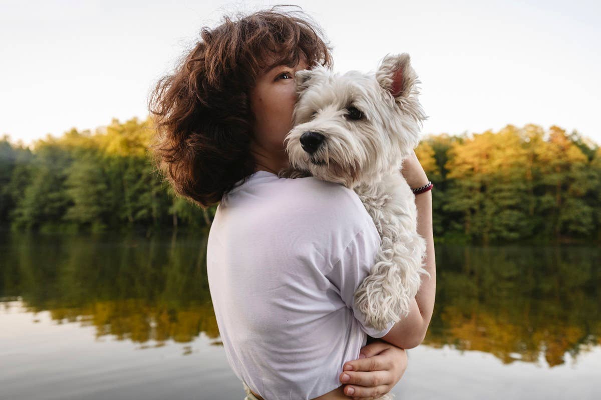 How to Apologize to Your Dog So They Actually Understand You (Trainers ...