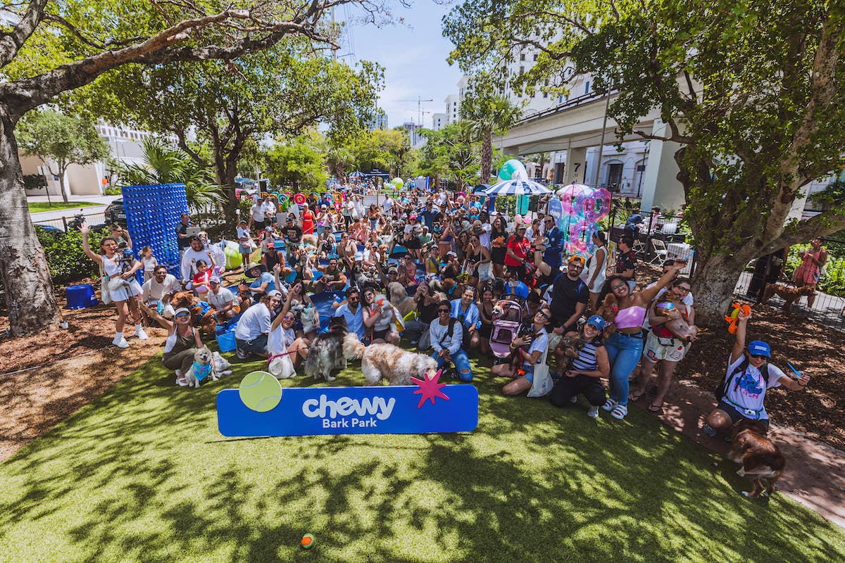 Hundreds of Dogs Splash Around at Record-Breaking Pool Party in Miami ...