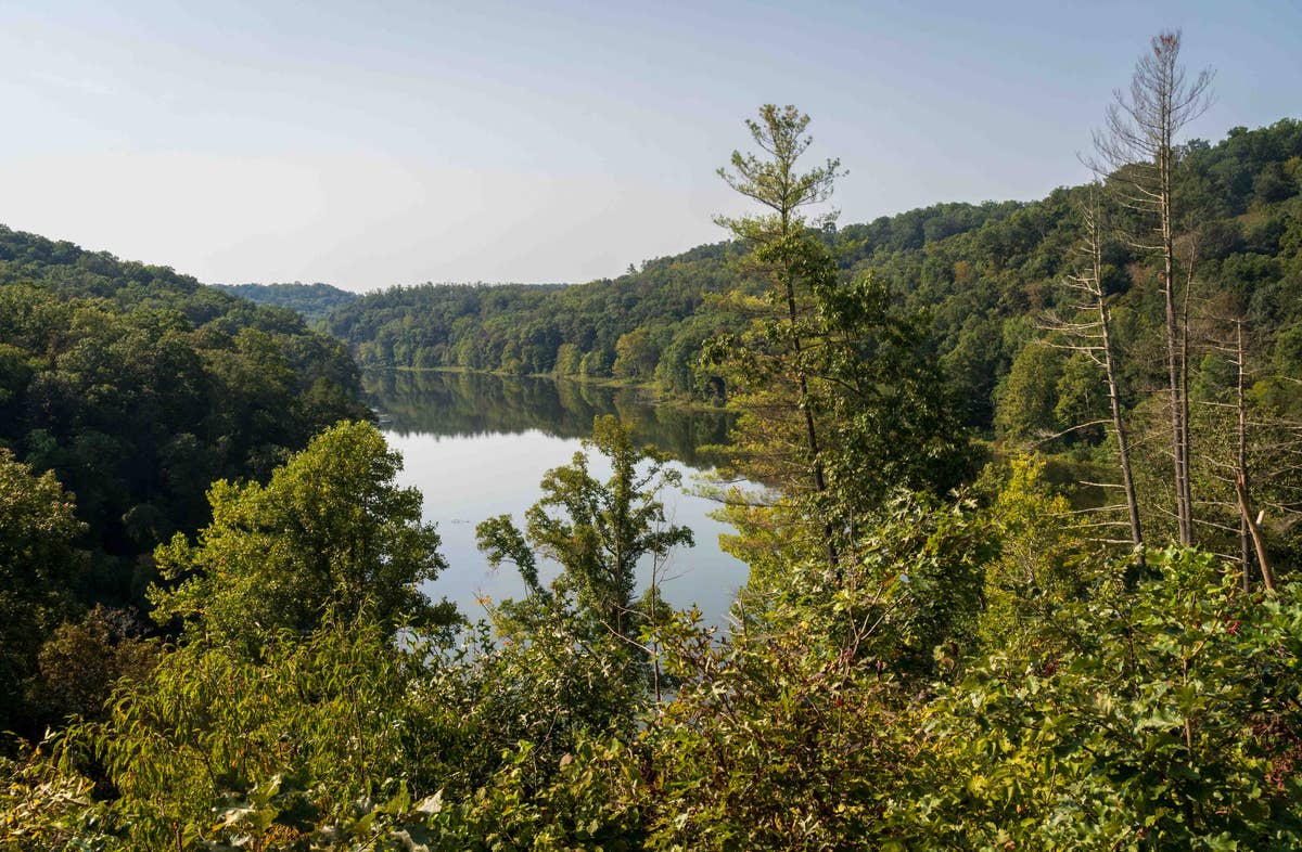 8 Rattlesnake Hotspots in Ohio (Including 1 Surprising Location ...