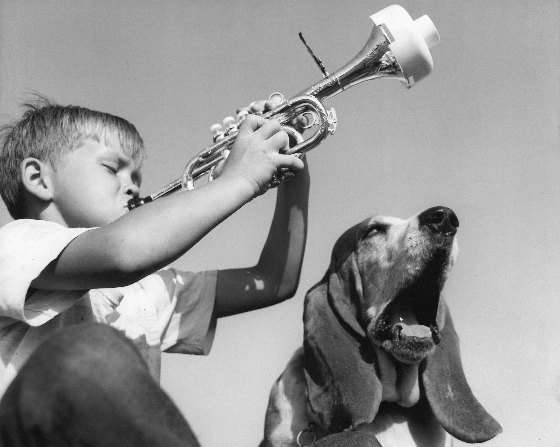 Pet News: Animal Stories, Viral Moments & Expert Updates - PetHelpful