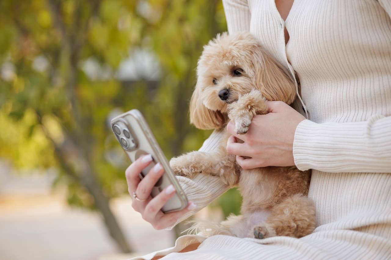 Millions of Pet Parents Are Turning to AI When Their Dogs and Cats Get ...