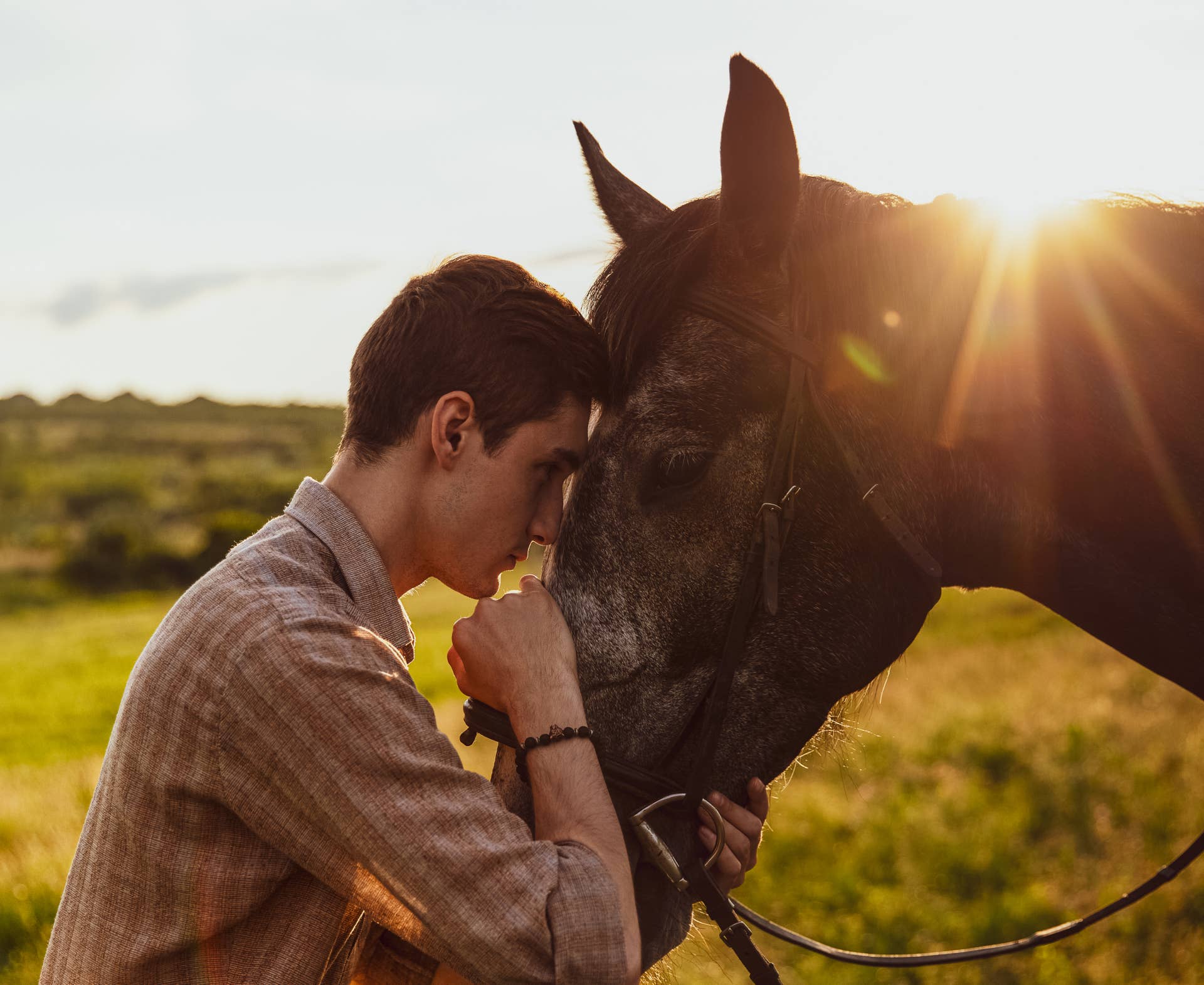 Horse's 'Separation Anxiety' Stops Dad From Working - PetHelpful