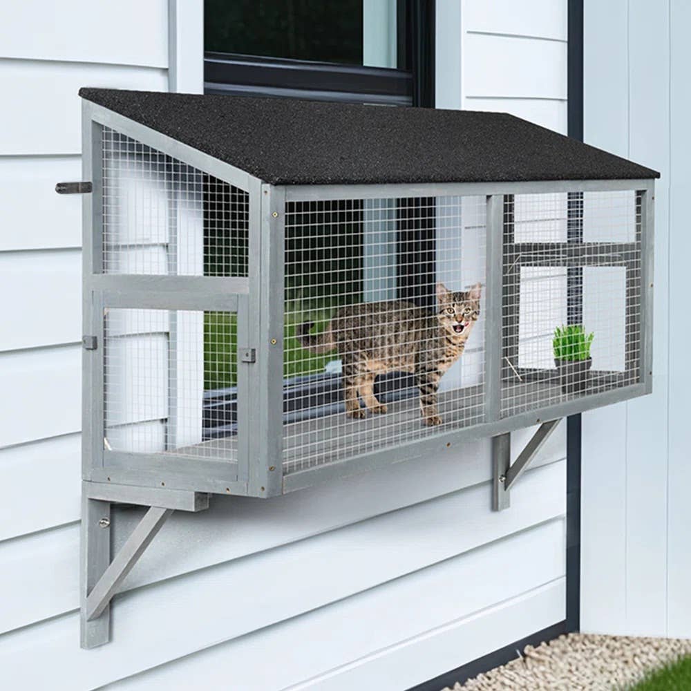 Wayfair's Window Catio Gives Your Cat a Great Birdwatching View ...